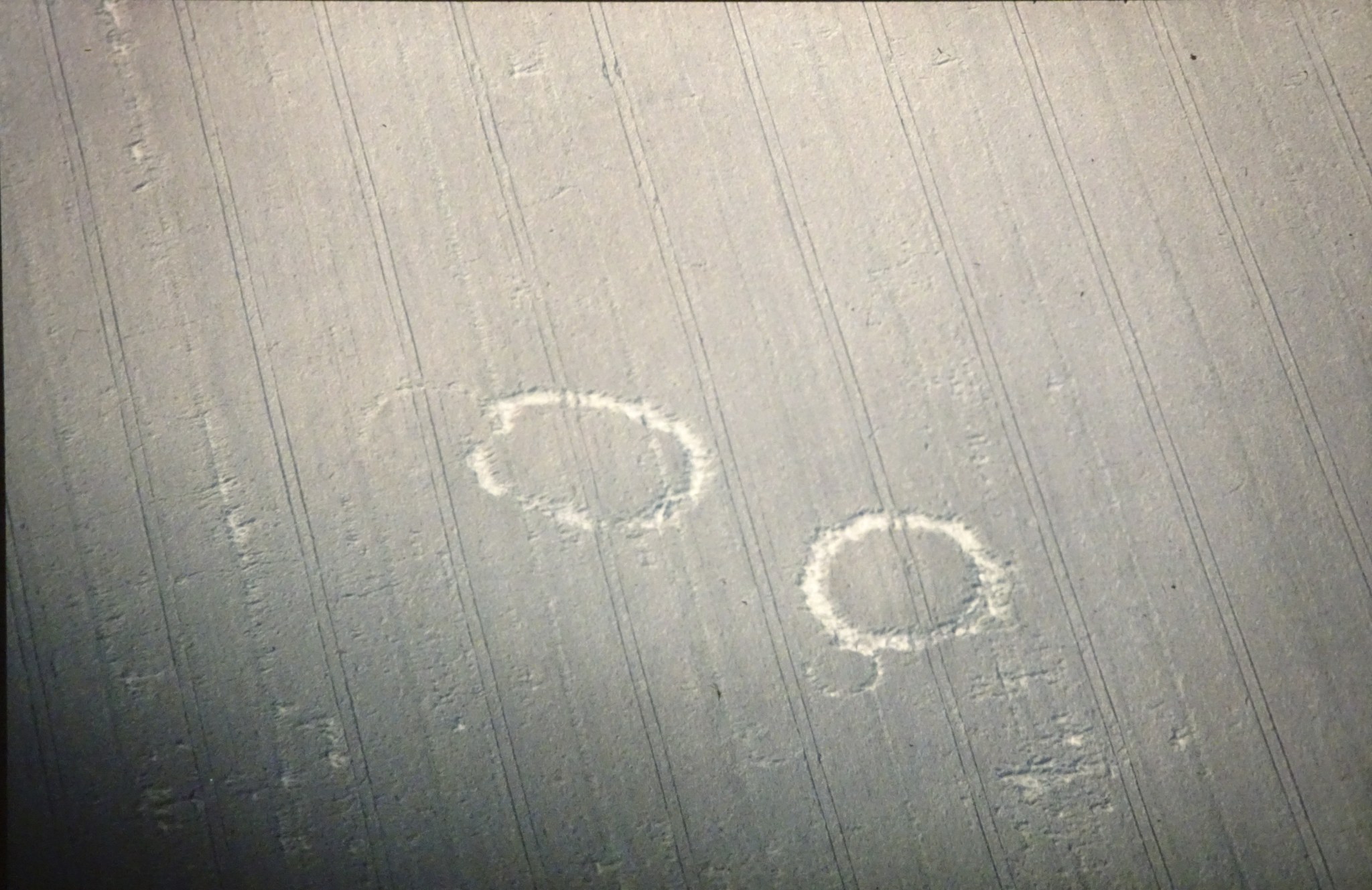 Crop Marks – Crop Circle Research Archive